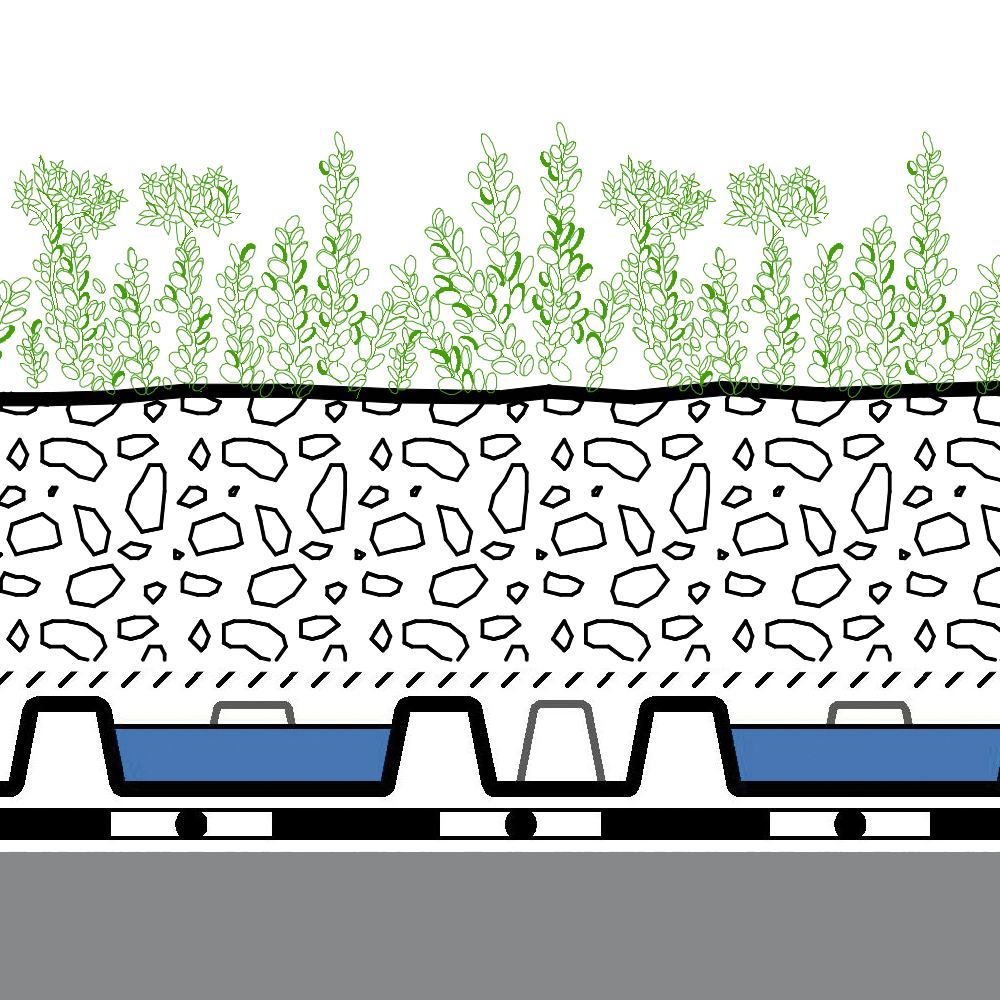 Sedumteppich mit Fixodrain® XD 20 | ZinCo.CH
